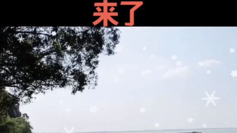 新版个人征信,来了