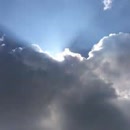 苗条的小胖子儿 