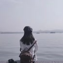 喜欢喝红茶的申屠梓珊 