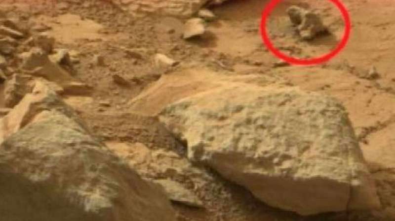 探测器在火星上拍到神秘生物,好像一只蜥蜴,NASA至今未解答