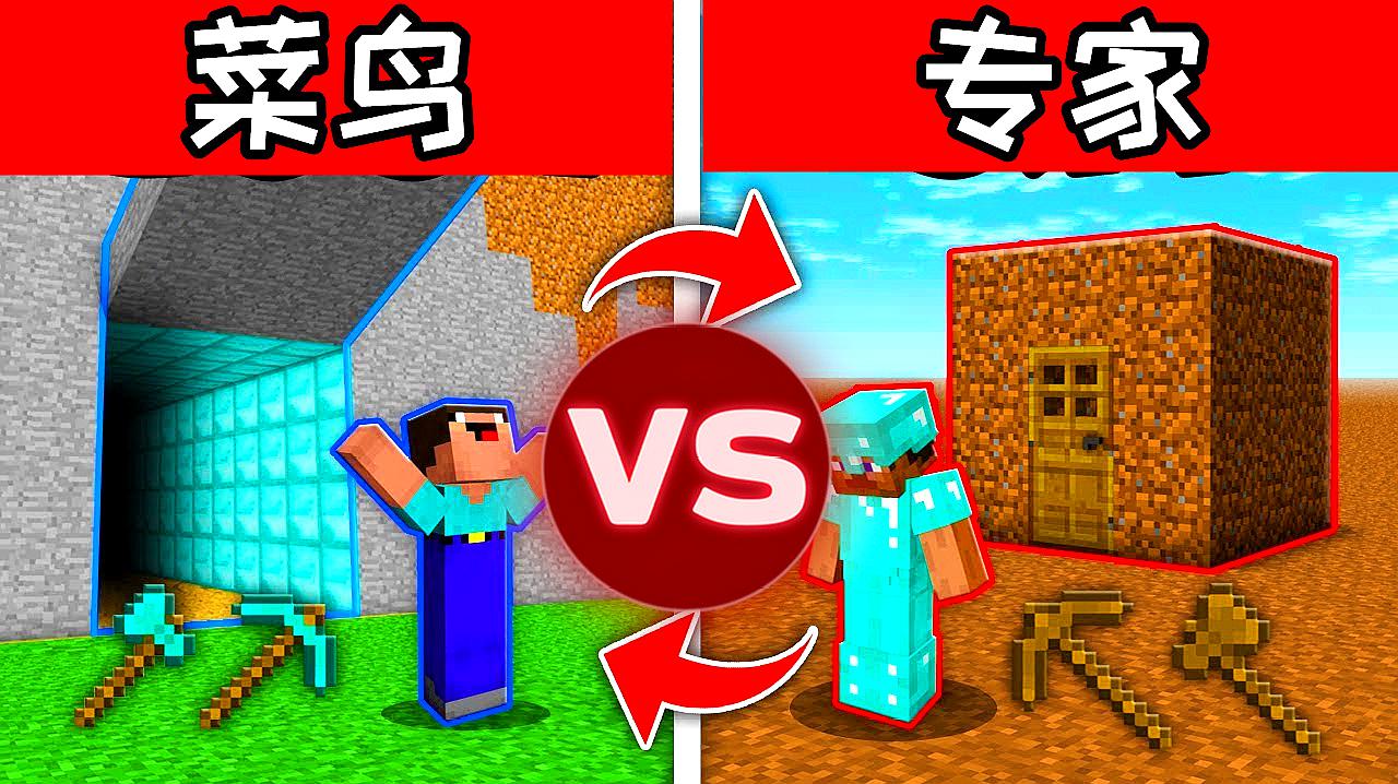 我的世界 当菜鸟和专家互换身份,网友:这下实力的差距就出来了