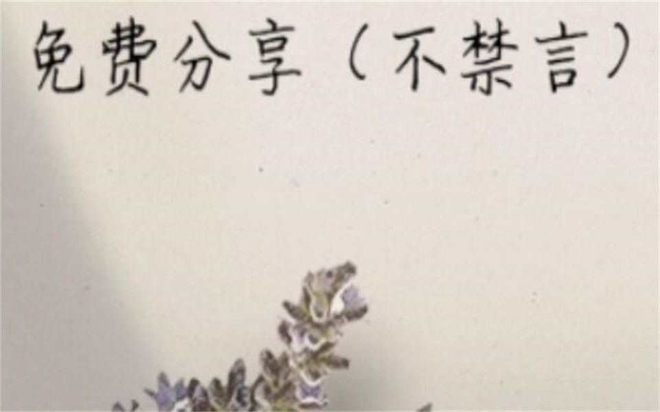 拼多多互助群二维码最新拼多多砍价群免费助力相互帮忙
