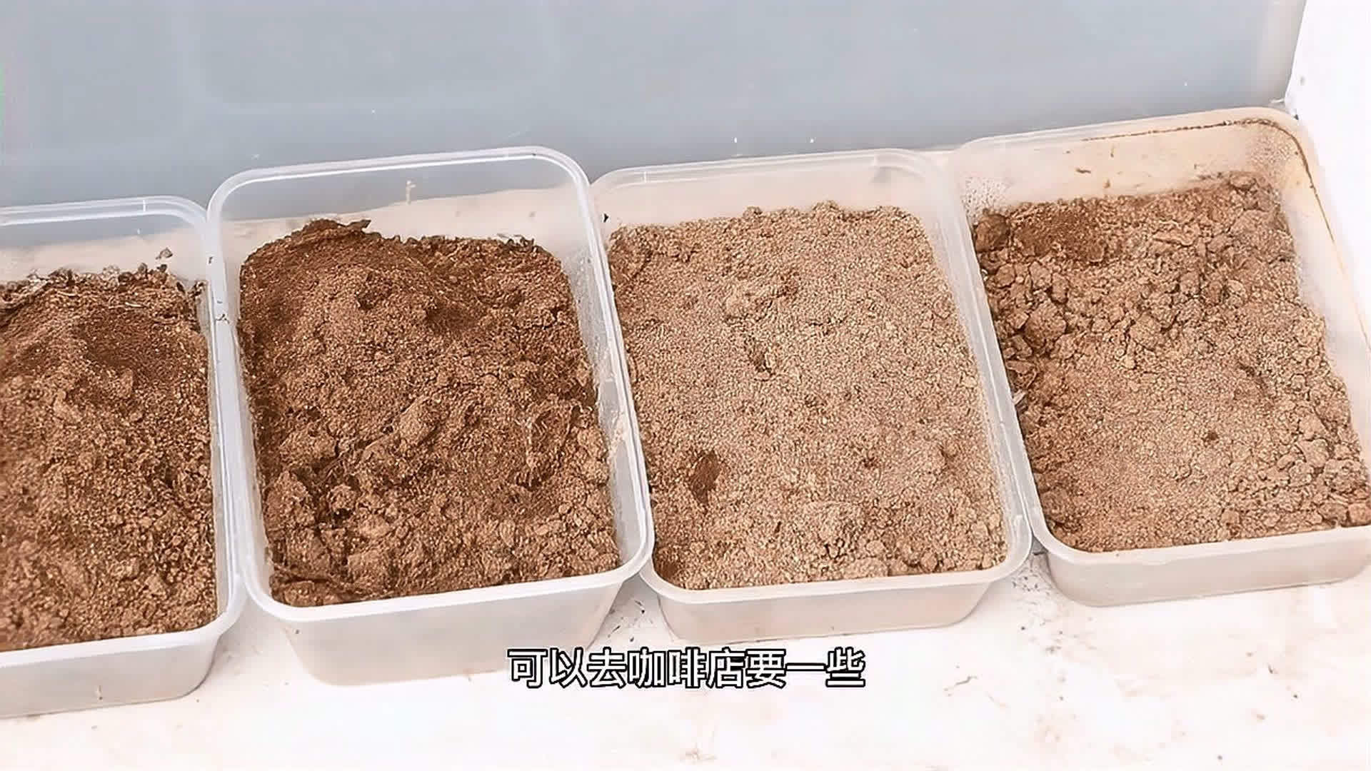 咖啡渣最全的神奇妙用,千万别急丢掉,兰花特喜欢,这些虫都怕它