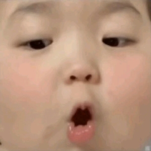 爱吃饺子的宝子 