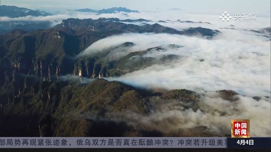 壮美绝伦!15秒欣赏张家界武陵源雨后的云海奇观
