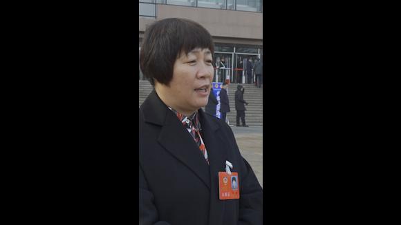 V观·竖屏30秒丨省政协委员高玲:发展工业大数据 助推行业转型升级