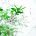 时愿 