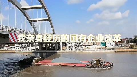 我亲身经历的国企改革:第五集 国有资产体制改革