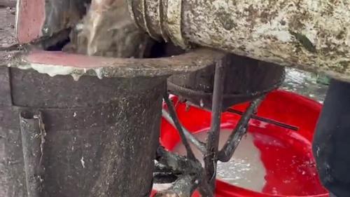 ...你们看一下珍珠原产地,珍珠都是从珍珠蚌身上割下来的,经过冲洗打磨...