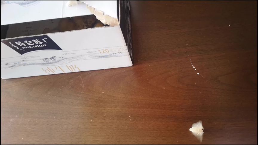 特别为小区里的几棵小桑树感到担忧#蚕丝被 #蚕宝宝