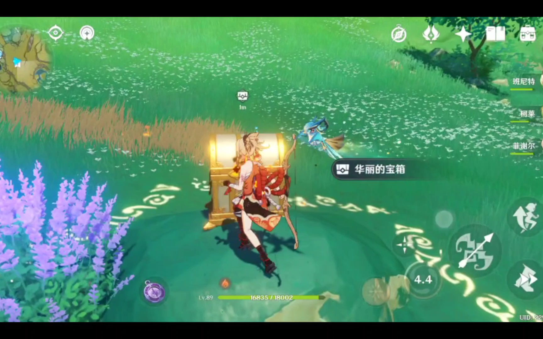 须弥华丽珍贵宝箱