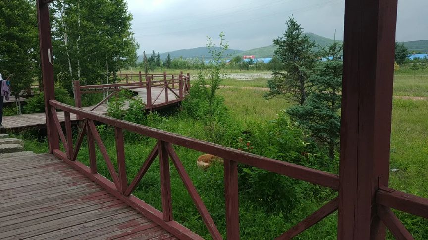 苍翠的群山⛰️,重重叠叠,雄伟壮丽