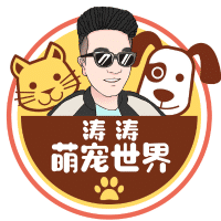 涛涛萌宠世界 