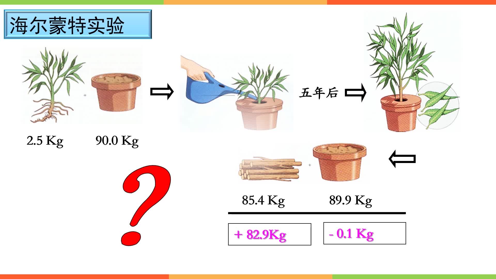 教学课件:光合作用吸收二氧化碳释放氧气