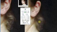 视软油画软件入门头发教程界面软件下载一。QQ;978601912.