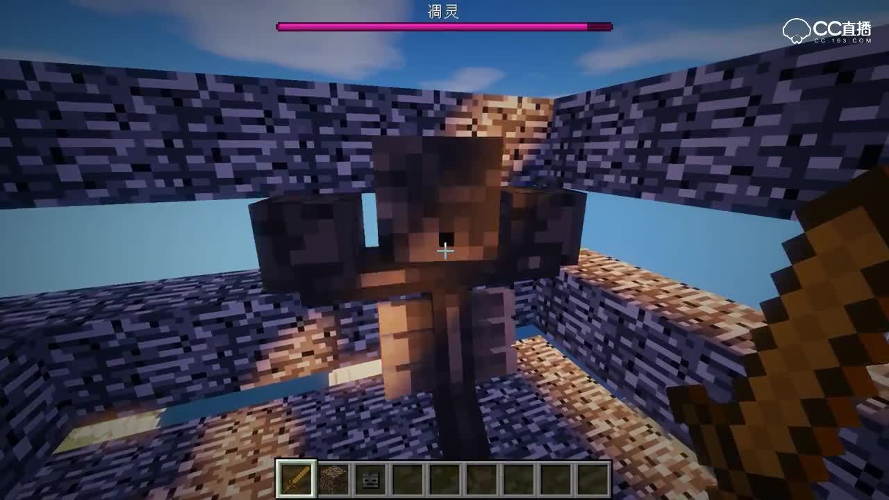 我的世界:挑战木剑打凋零!一共要多少下才能打死凋零?