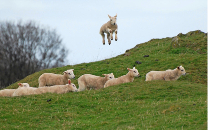 【管理信息系统】实验课(三)——outlook与“数字签名技术”
