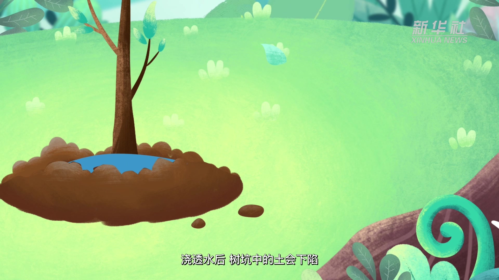 植树节小课堂:正经种树教程