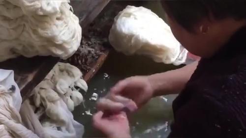 原来我们用的蚕丝都是这么制作出来的,颠覆了以往的想象