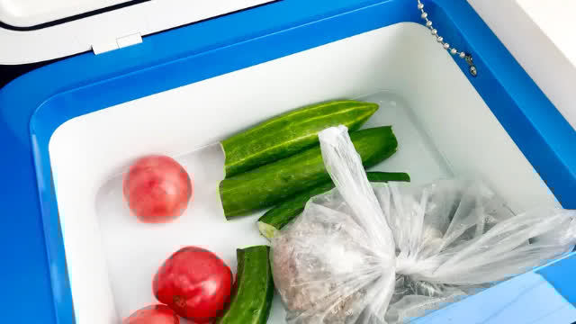 小伙子自驾去普陀山,车载冰箱没放饮料只放黄瓜你猜得出来吗