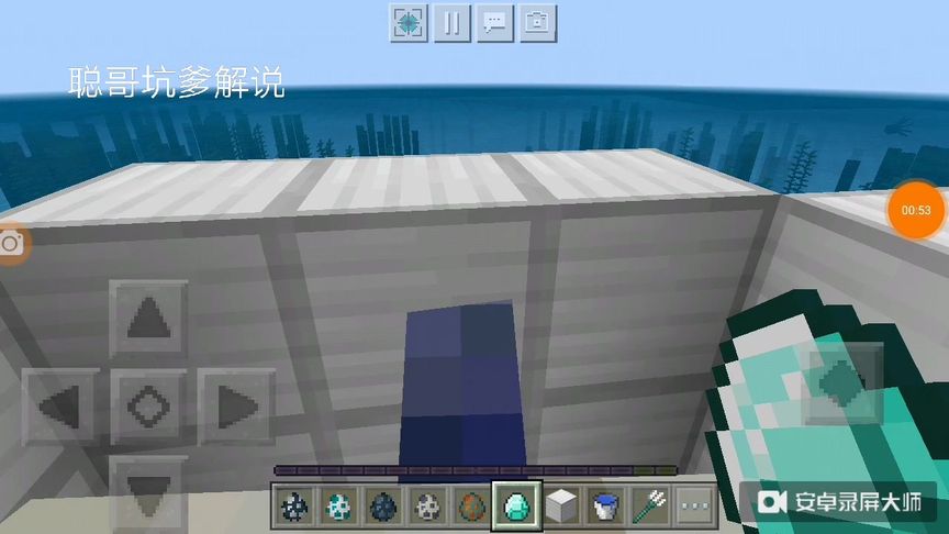 可以骑的海洋生物「我的世界」