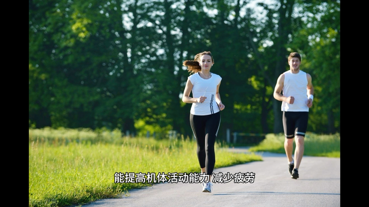 野山参对缓解人体疲劳的功效