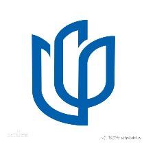 中兴路游戏解说 