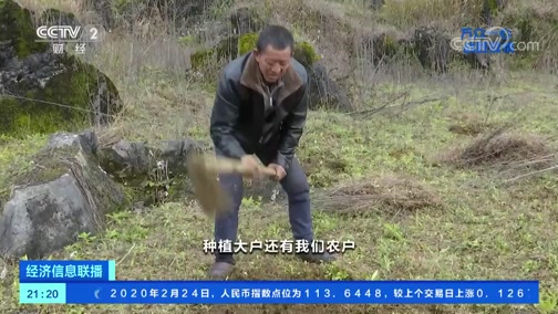 [经济信息联播]贵州:抢抓农时 全力抢种刺梨