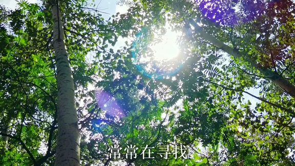 城市荒漠,怎么秒变拍出城市森林小姐姐来示范