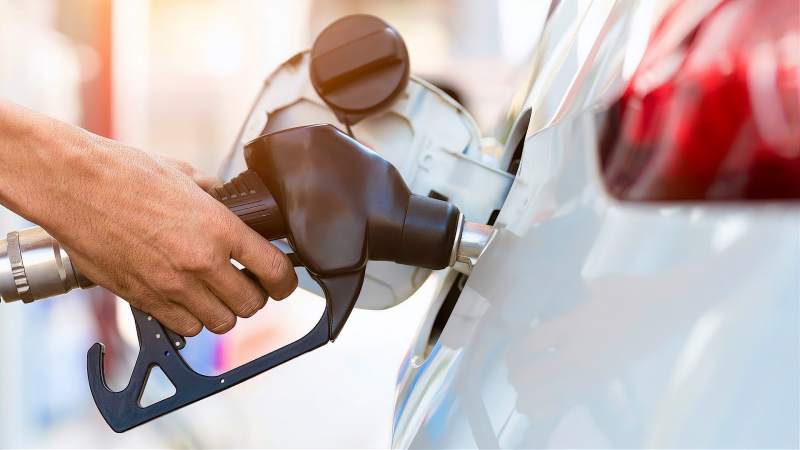 石油是如何形成的?动画演示全过程,解开了多年疑惑!