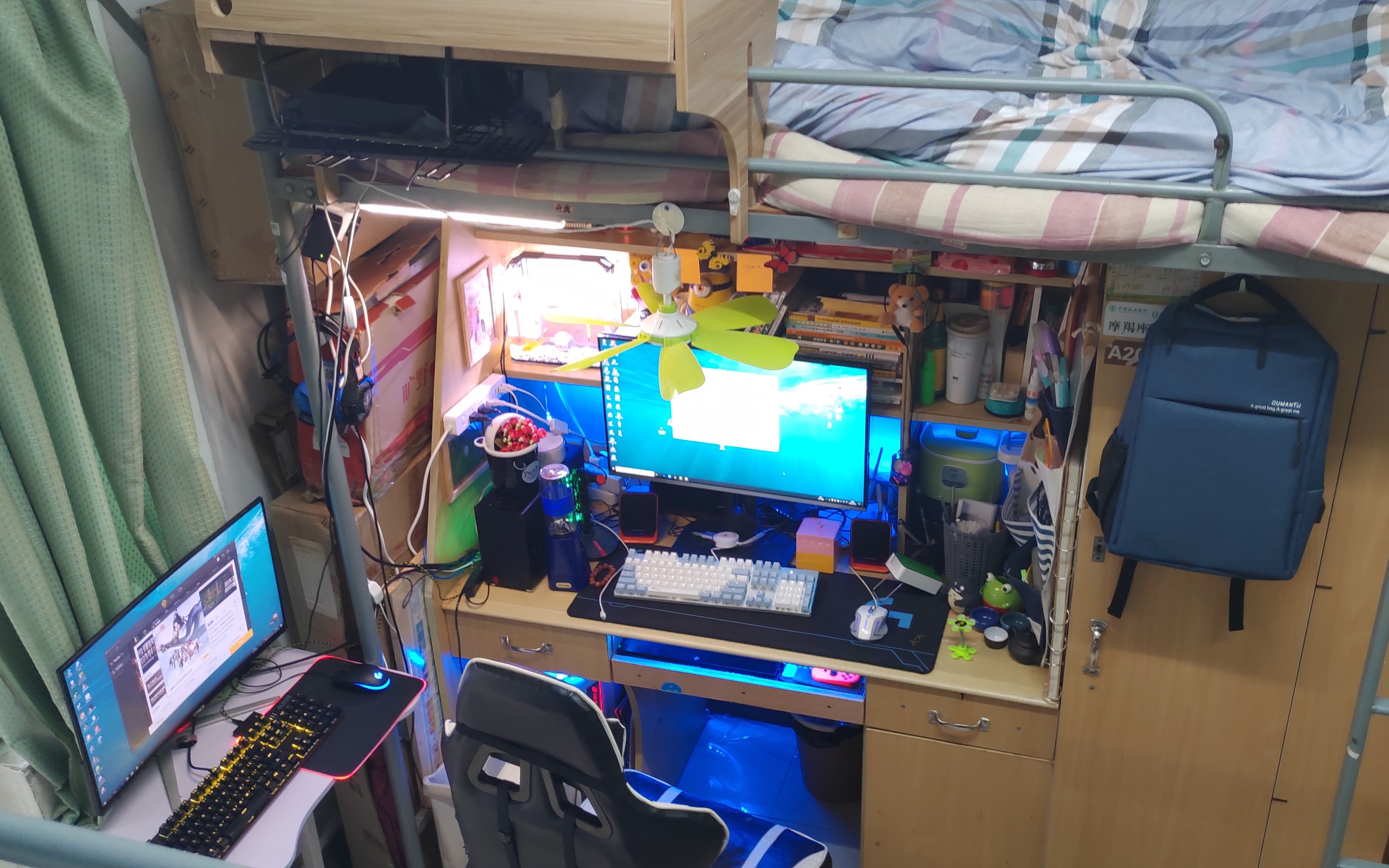 详细告诉你在大学宿舍养老并且养鱼是什么体验!