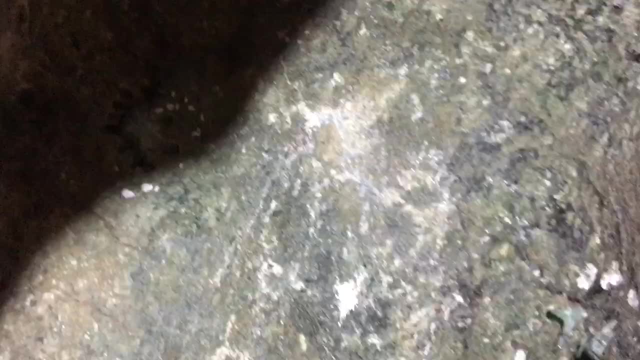 小伙300块开出满绿极品翡翠原石,赌石视频