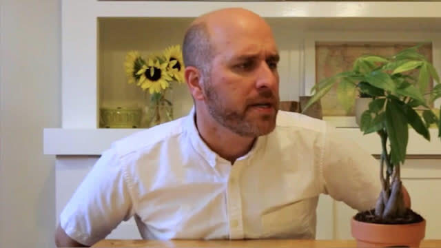 人的语言力量植物也能感受到?老外亲测对着它骂一个月