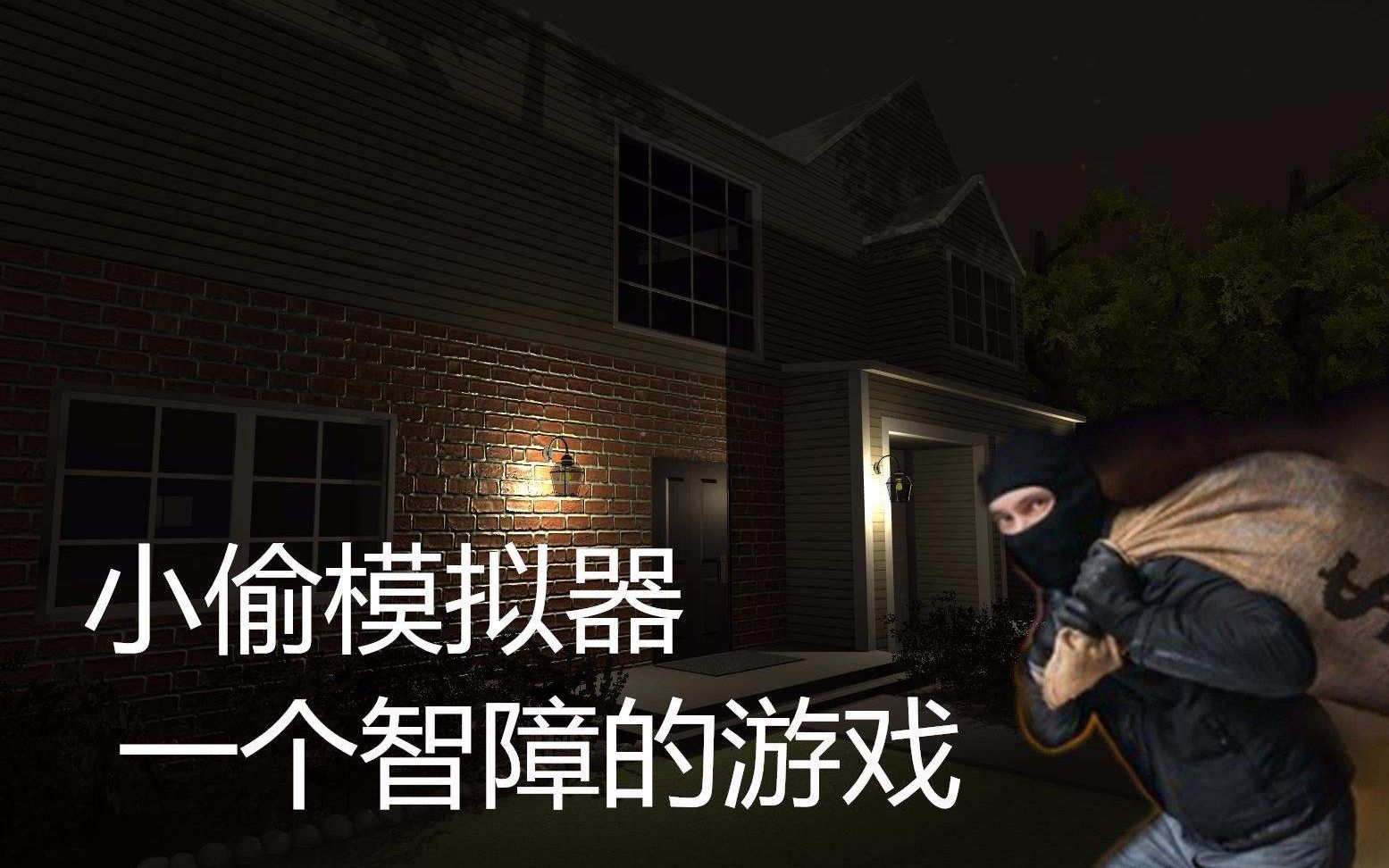 真的太难偷了【小偷模拟器#2】
