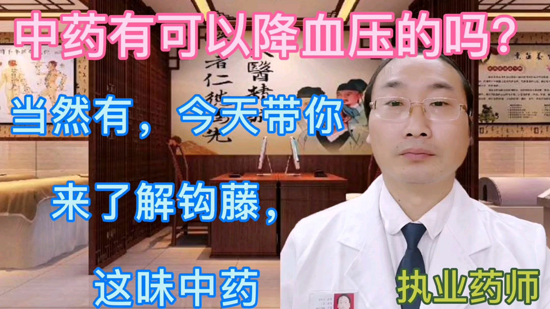 中药有可以降血压的吗?当然有,今天带你来了解一下钩藤这味中药