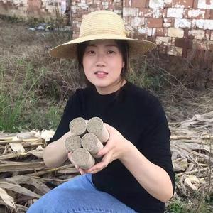 杨小妹三年陈手工艾条 
