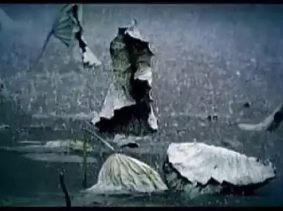 北京大学宣传片