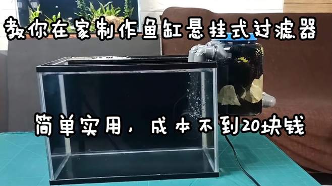 教你制作鱼缸罐式过滤器,过滤功能强大,简单还便宜
