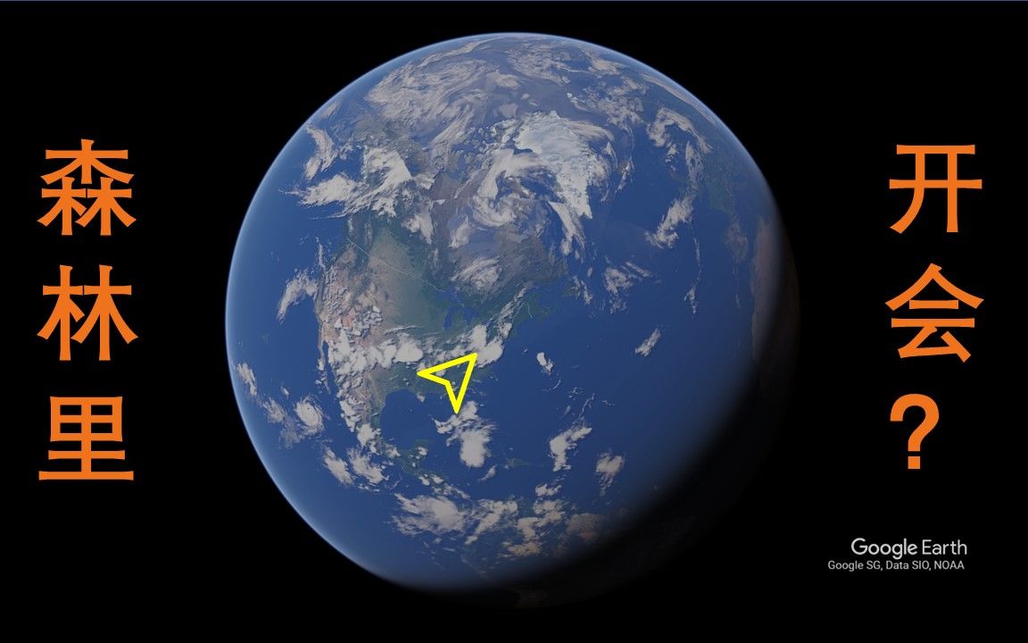 【在哪】布雷顿森林——up主砍树的地方