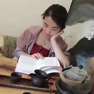 四毛游戏解说 
