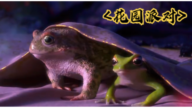 美到窒息的奥斯卡短片,适合全家老小一起看,治愈系动漫!