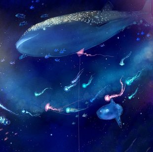 土豆这个马铃薯 