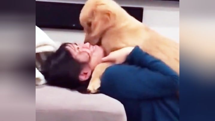 狗狗你要干么,太过分了!