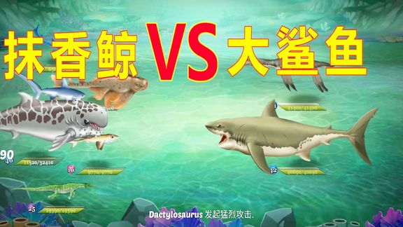 鲨鱼海底世界05:遇到只长胖的锯齿鲨,大型垂头鲨出现我真想捕它