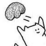 智啊障啊 