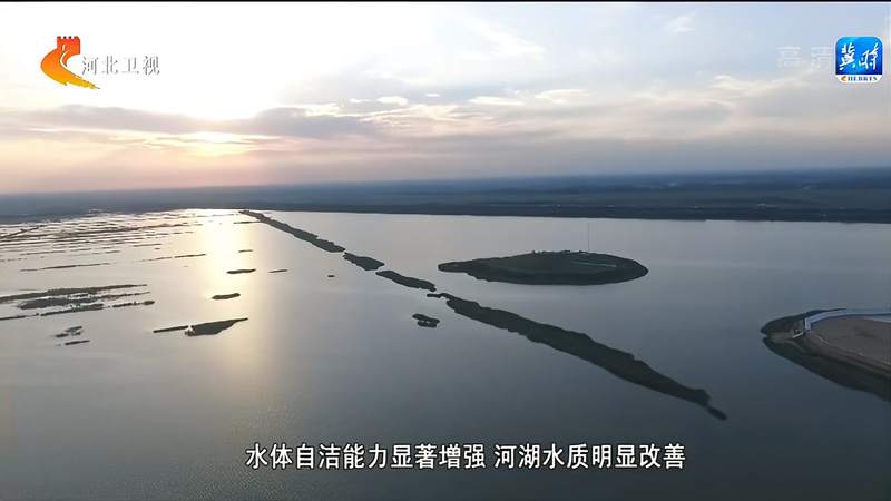 权威发布——河北水环境质量持续改善
