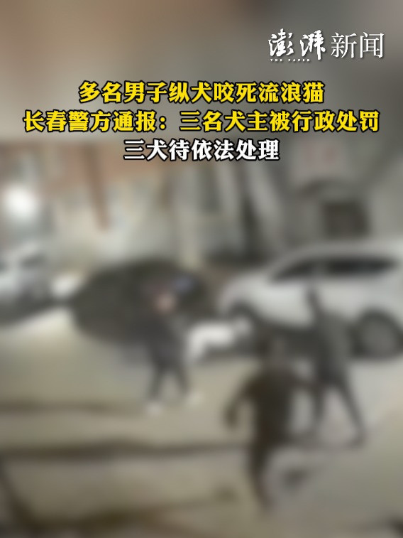 三名犬主被行政处罚,三犬待依法处理
