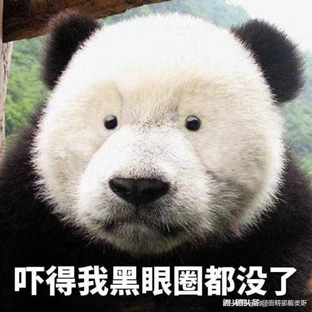 吓得我黑眼圈都没了 