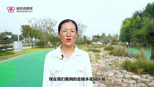 “水润鸢都”丨经济区“海绵城市”科普园