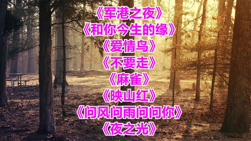 {军港之夜}{和你今生的缘}{爱情鸟}{不要走}{麻雀}